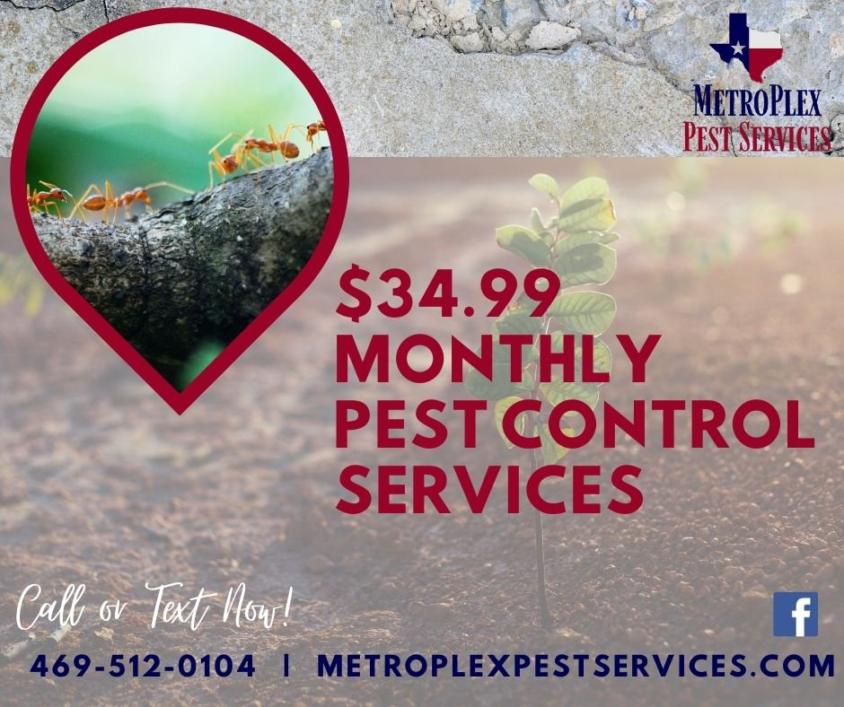 $34.99 Monthly Inside and Outside Pest Control Services MetroPlex