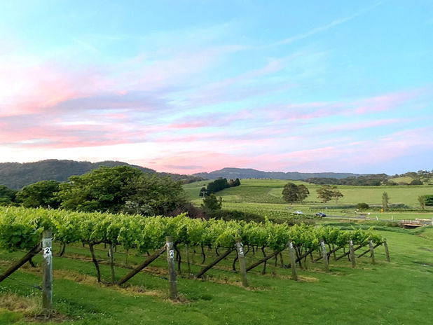 Crooked River Winery | southcoastwedding