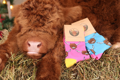 Highland Cow Socks | Happy Highlands