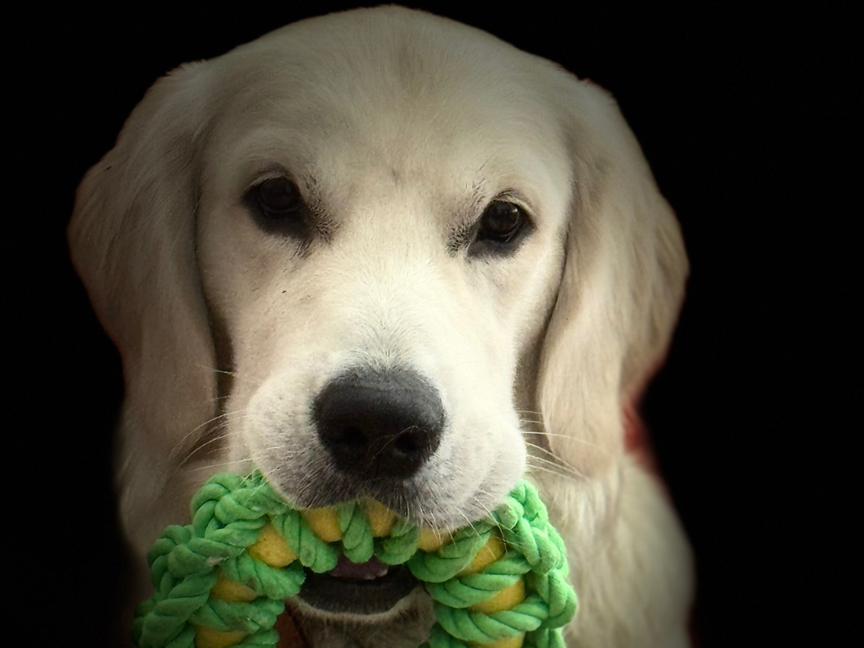 HOME | Marko Russell