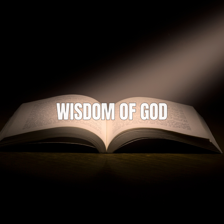 The Wisdom of God