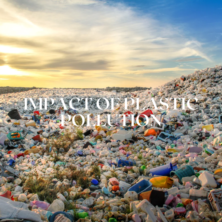 Save the Ocean: The Impact of Plastic Pollution and Solutions