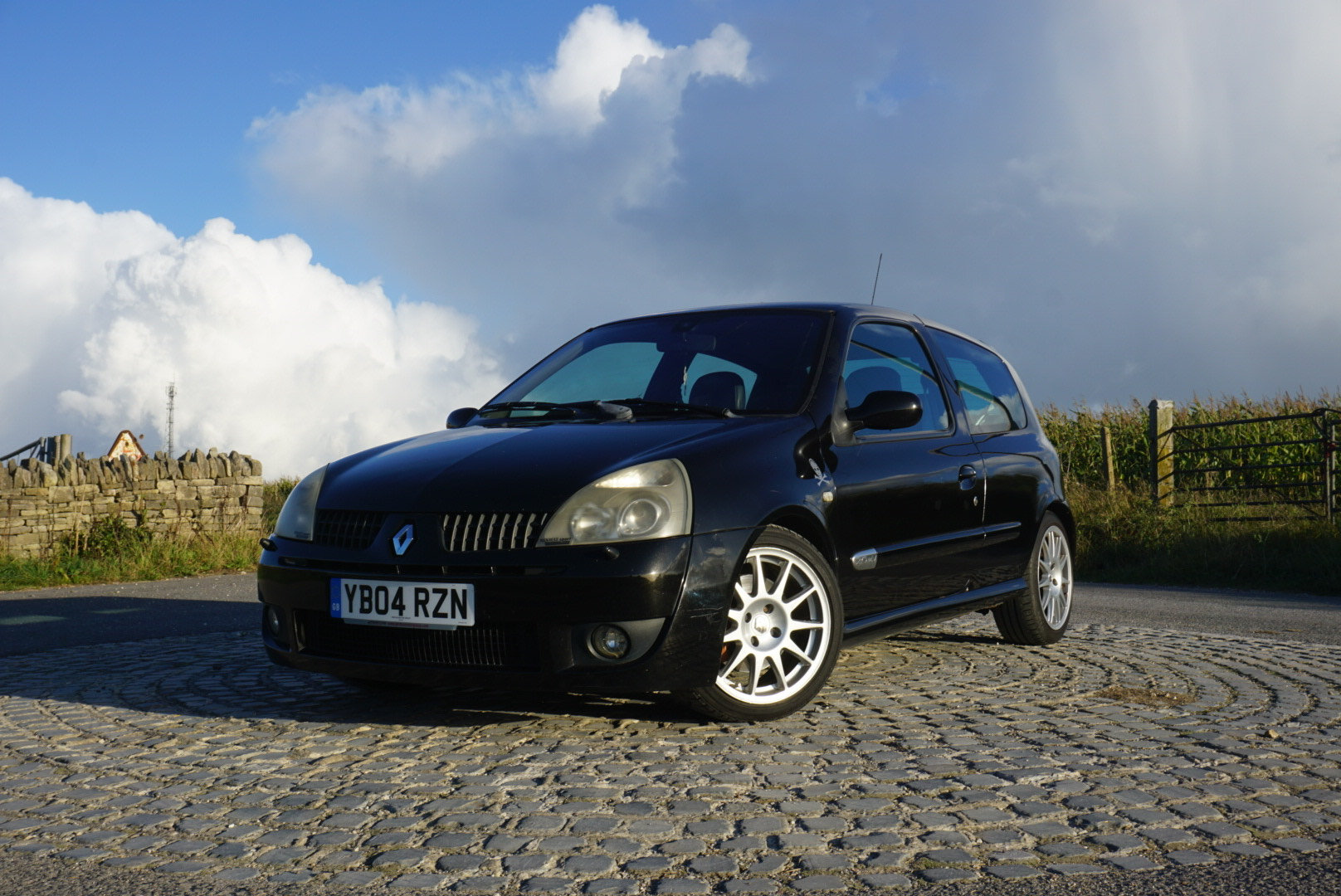 New Addition - 163,000 Mile Renault Clio 182