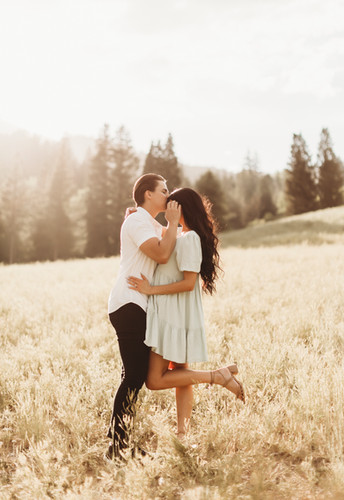 Olive Avenue Presets + Brushes | Mysite