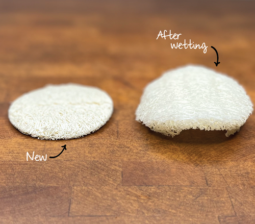 Loofah Shampoo Bar Pad | OBLOOM