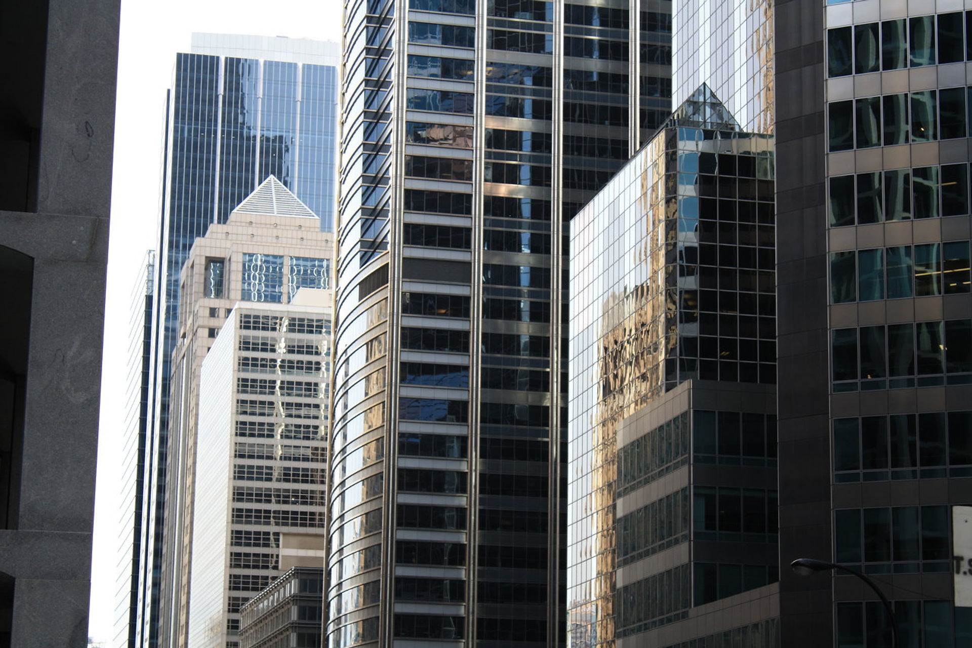 Stephen Collette Photography