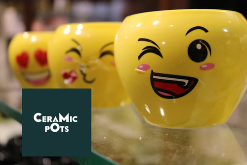 Smiley Pot | Ceramic Pots