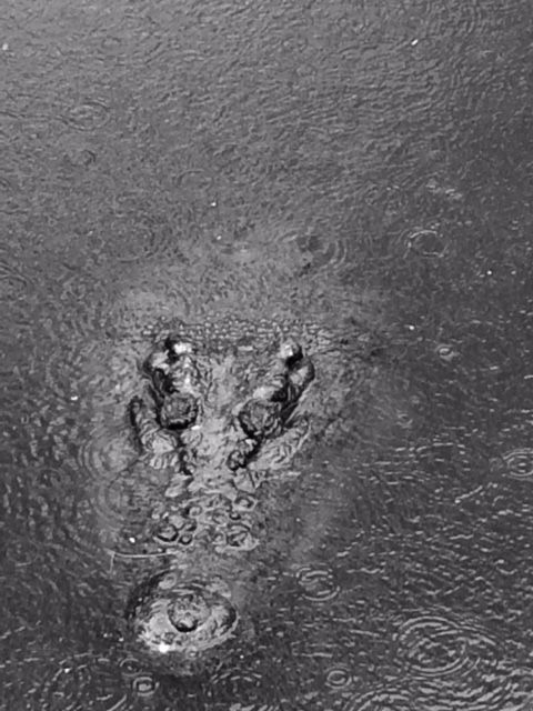 The mystery of identity