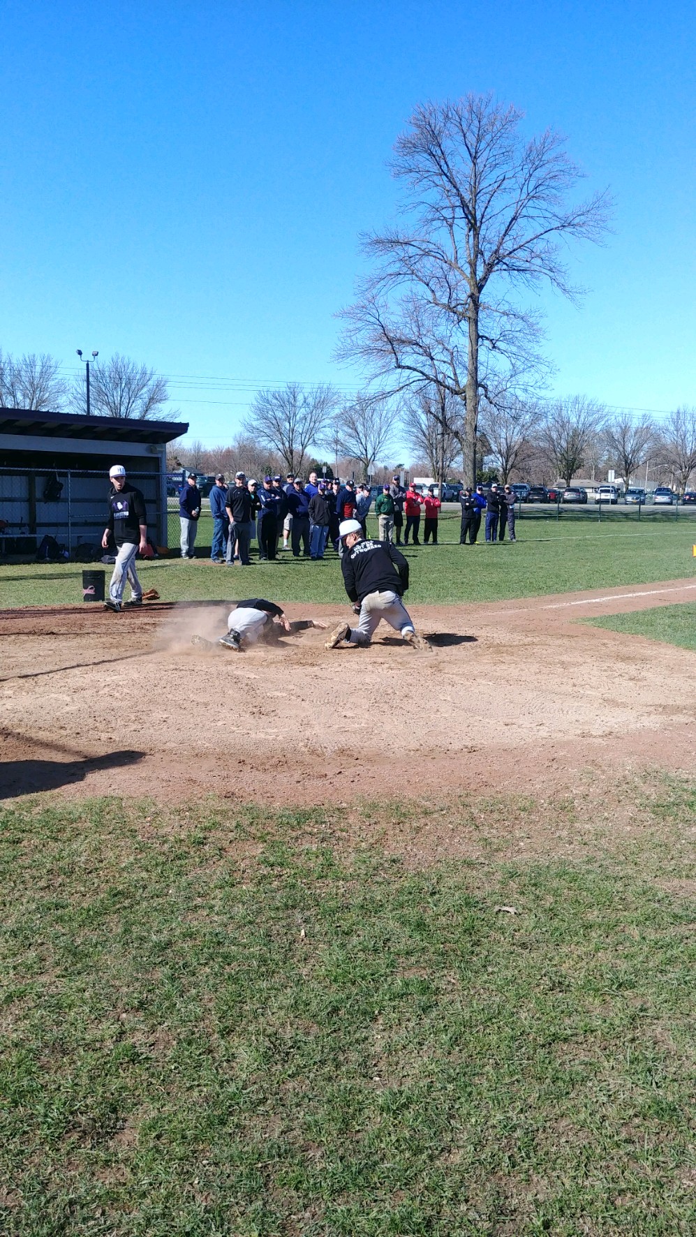 Hamburg | Hamburg Baseball | United States