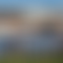 Rugby | Exeter Chiefs Supporters Club