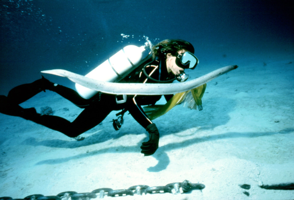 Women in Ocean Science: Sylvia Earle
