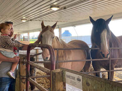 FARM EVENTS | Redrockfarms