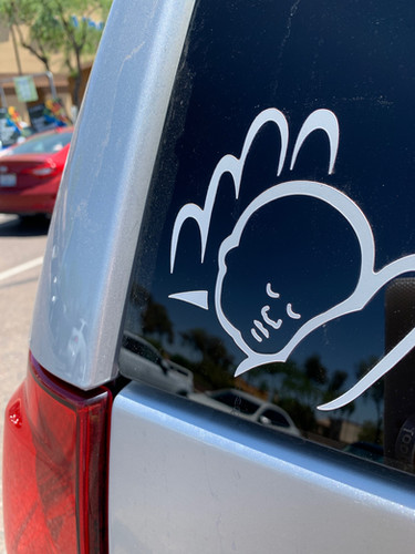 Safe Haven Logo Decal | Nsha