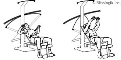 Weider Crossbow Legend Exercise Manual