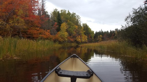 Canoe Rental | Creekside RNR