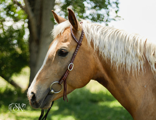 Loop Ear Headstall with Knots and Dots | Lazy L Ranch Co.