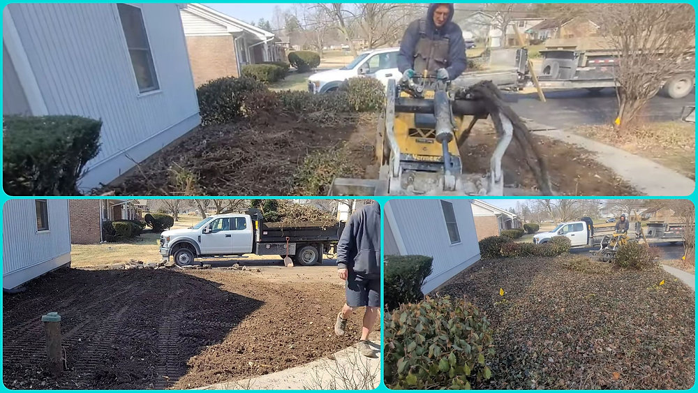 "How to Transform Your Overgrown Front Yard with Video: Ground ...