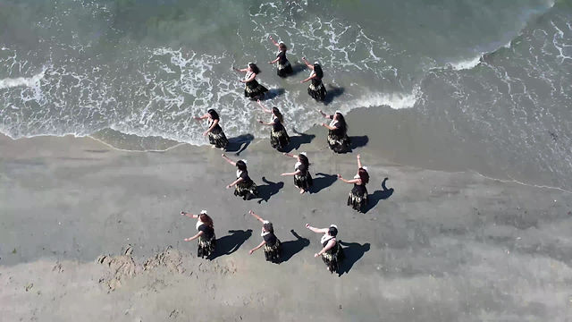 Welcome | Hula 'O Hoaloha