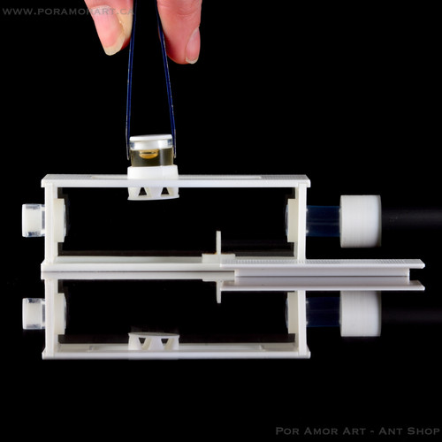 Micro Glass Outworld | Ant Shop