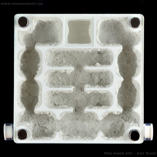 Classic Hybrid Formicarium | Ant Shop