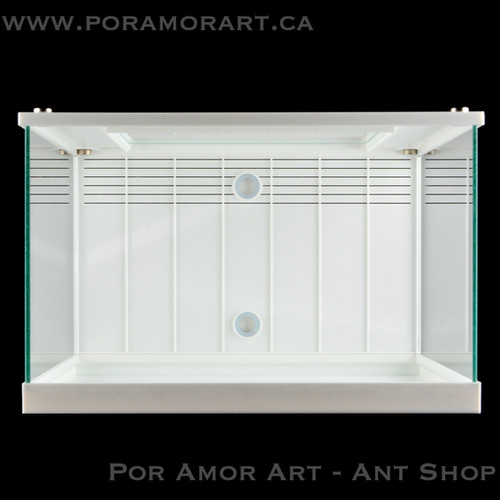 Tri-Glass Spider Enclosure | Terrestrial Fossorial & Arboreal