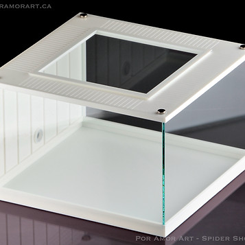 Duo & Tri Glass Spider Enclosures | For Tarantulas & more.