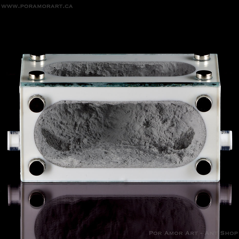 Formicarium Shop - Housing for queen ants and colonies