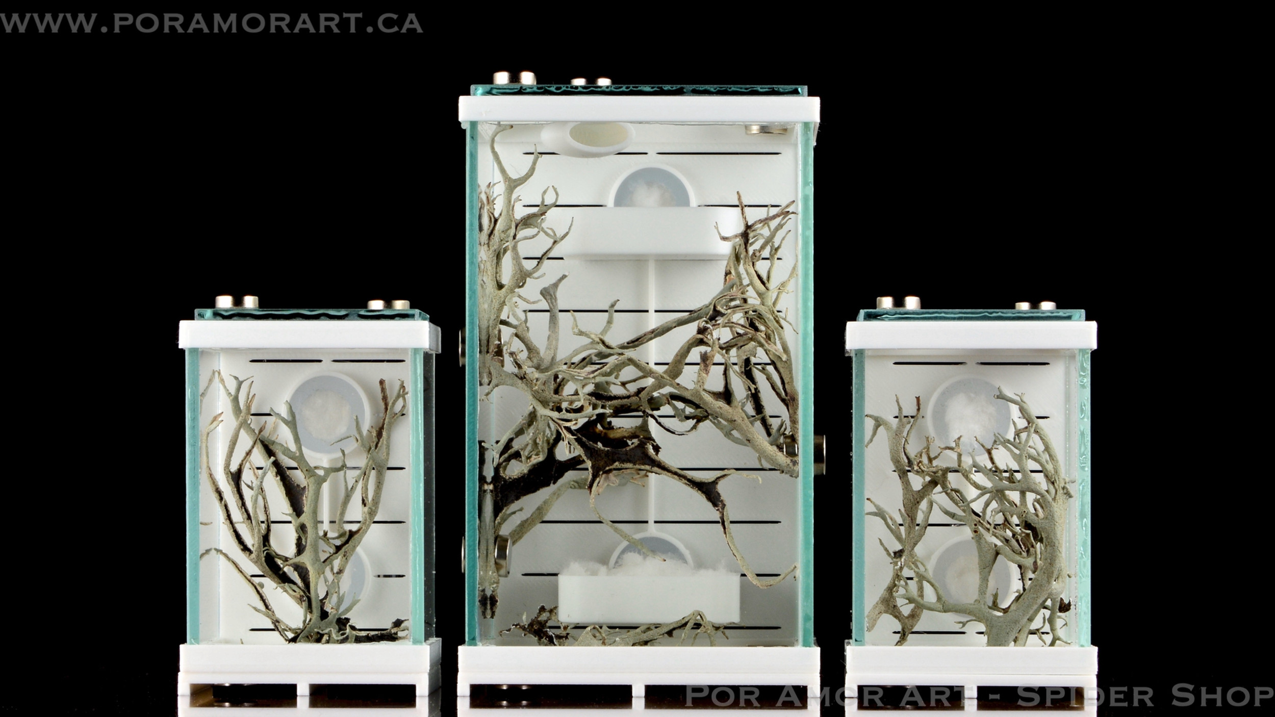 How to Choose Enclosure Size & Type | Spider Shop