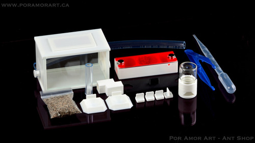 Furnished Apartment Kit – Founding Ant Colony Starter Set