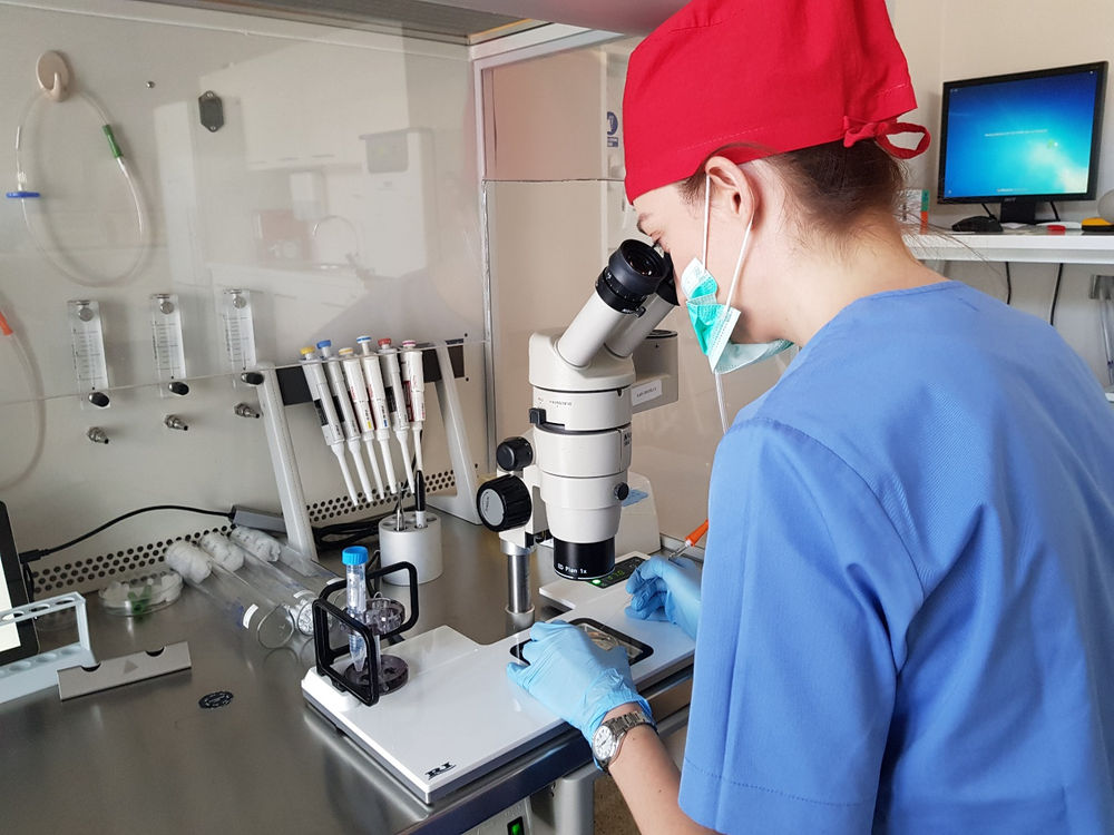 RI Witness kontrola jakości i bezpieczenstwa. Relacje klinik IVF