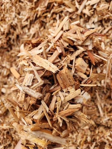 Cedar Chips | My Site