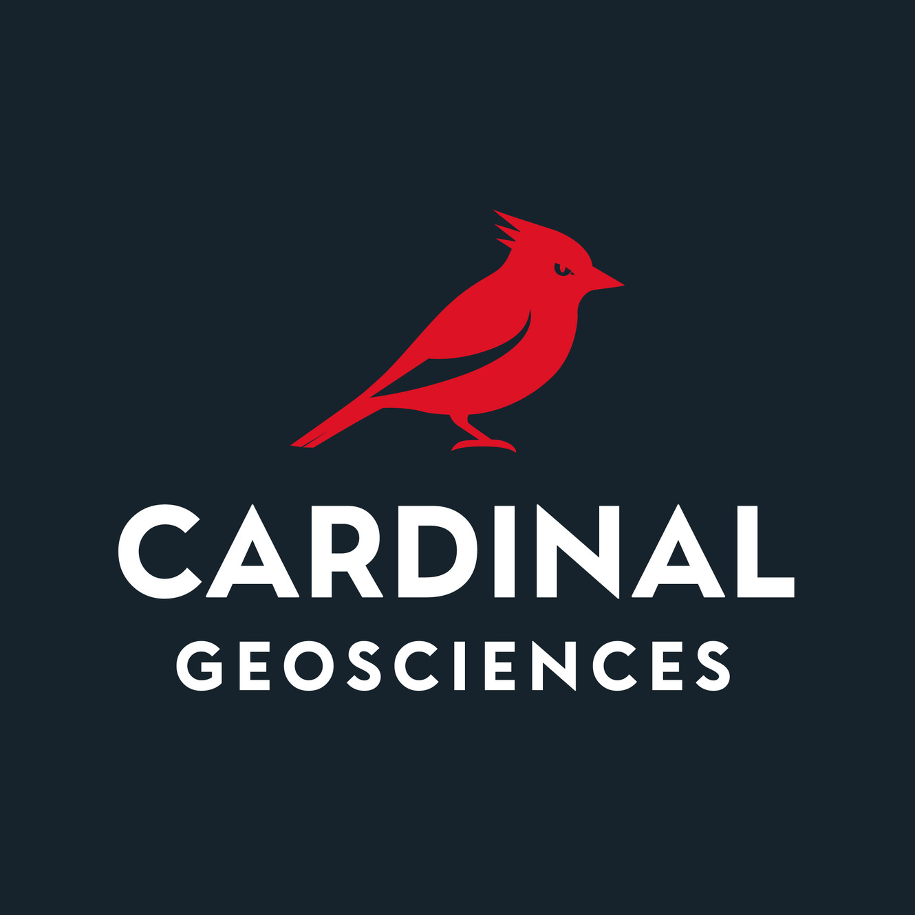 cardinal geosciences | python geologist