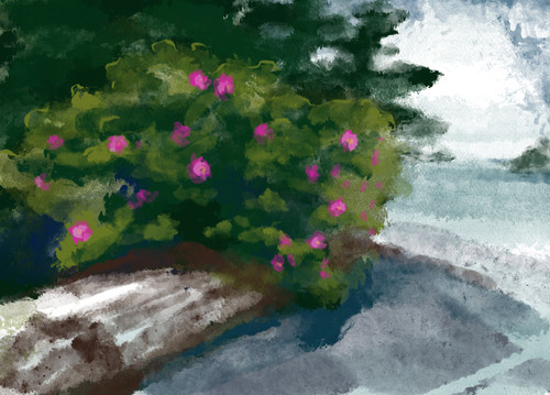 Sitka Rose | Fate Accompli