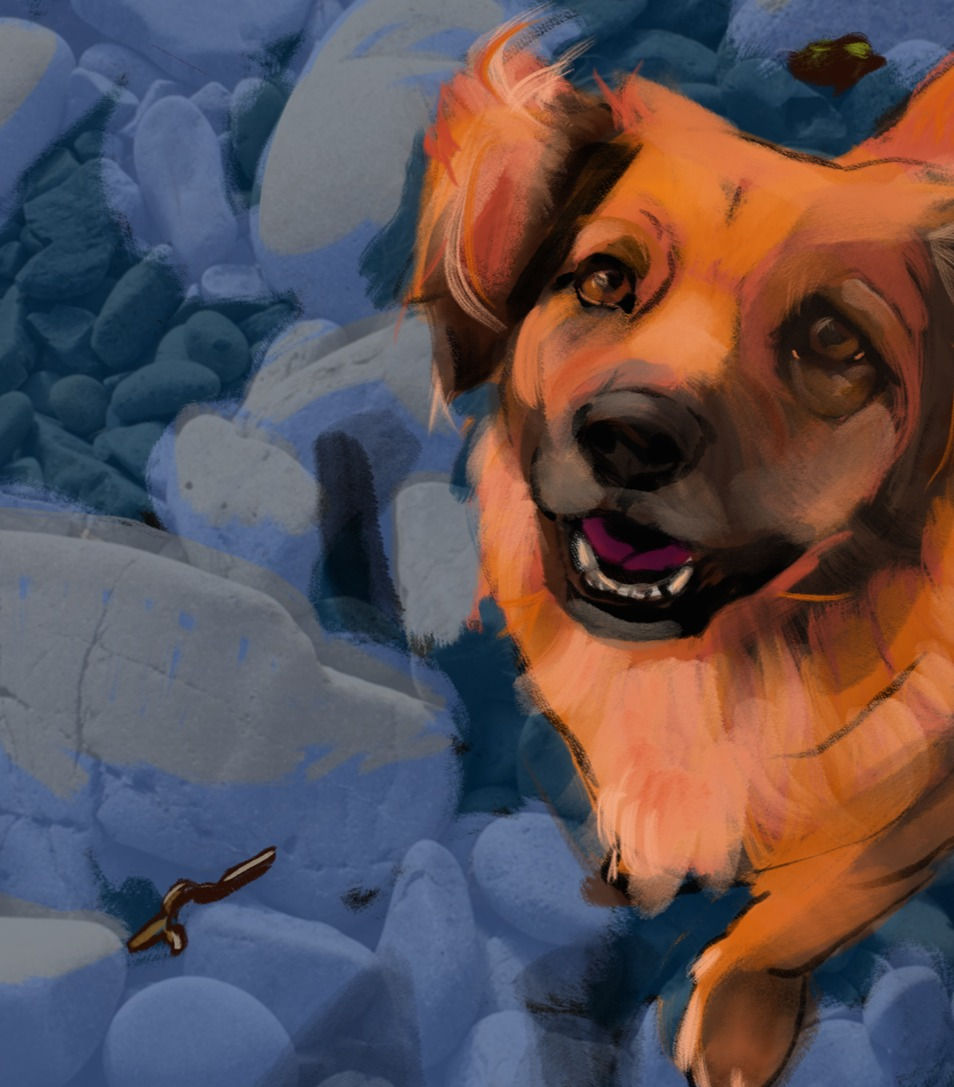 Olivia Artwork | Fate Accompli