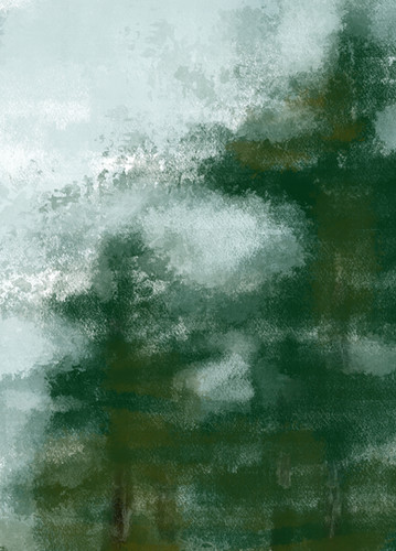 Sitka Spruce | Fate Accompli