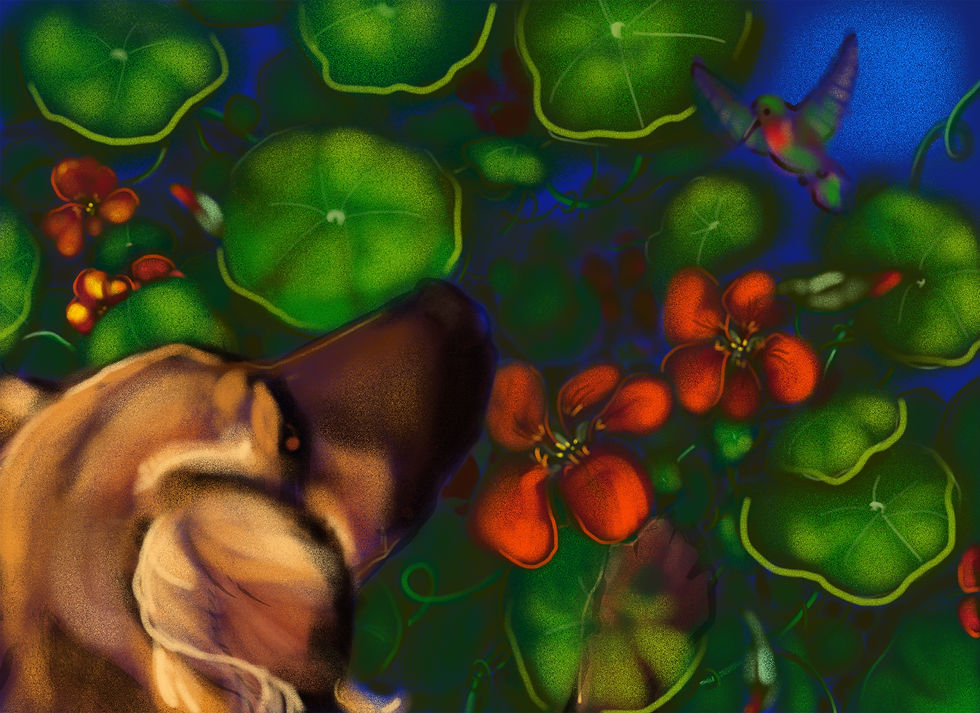 Olivia Artwork | Fate Accompli