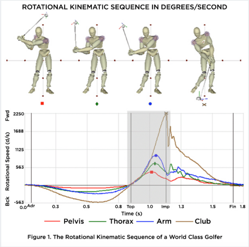 Kinematics of the Golf Swing