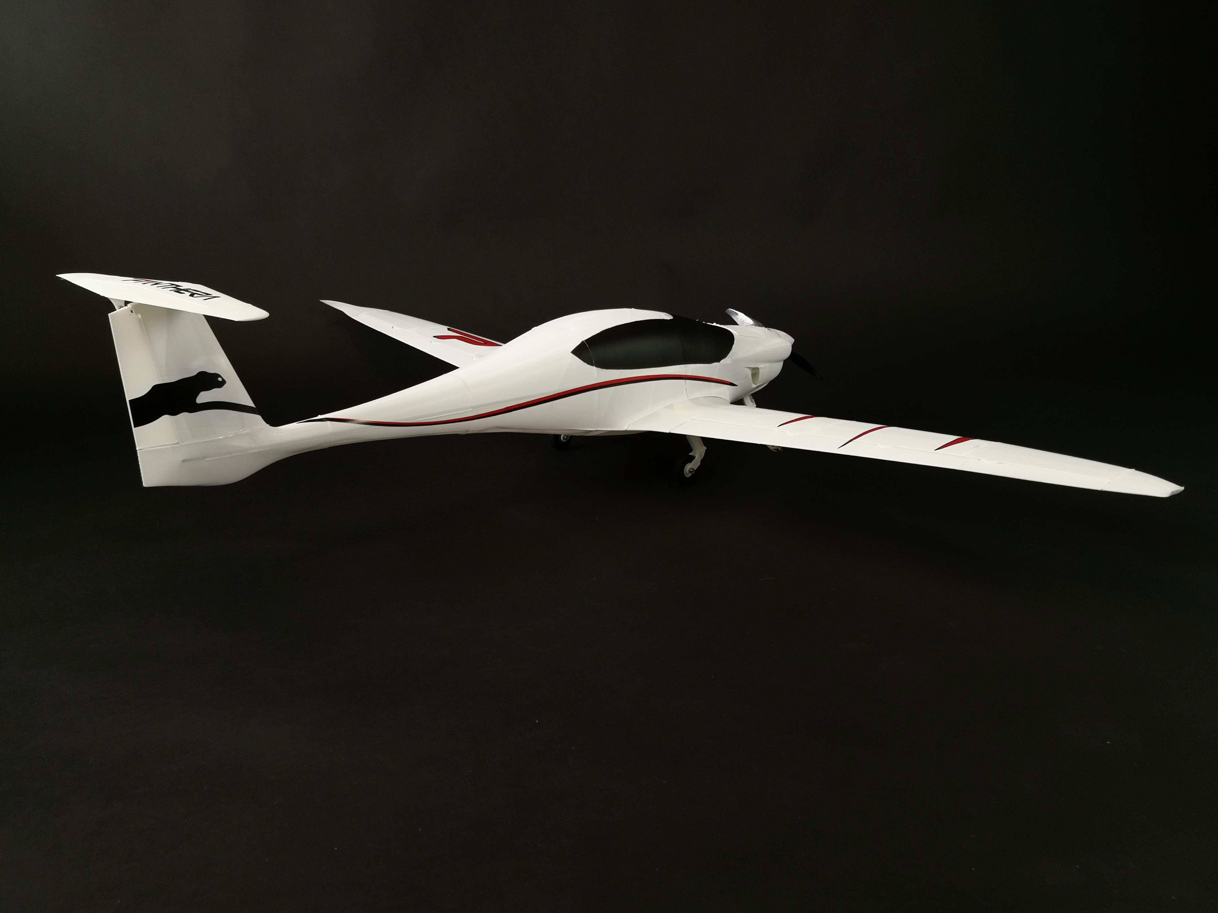 Panthera RC airplane