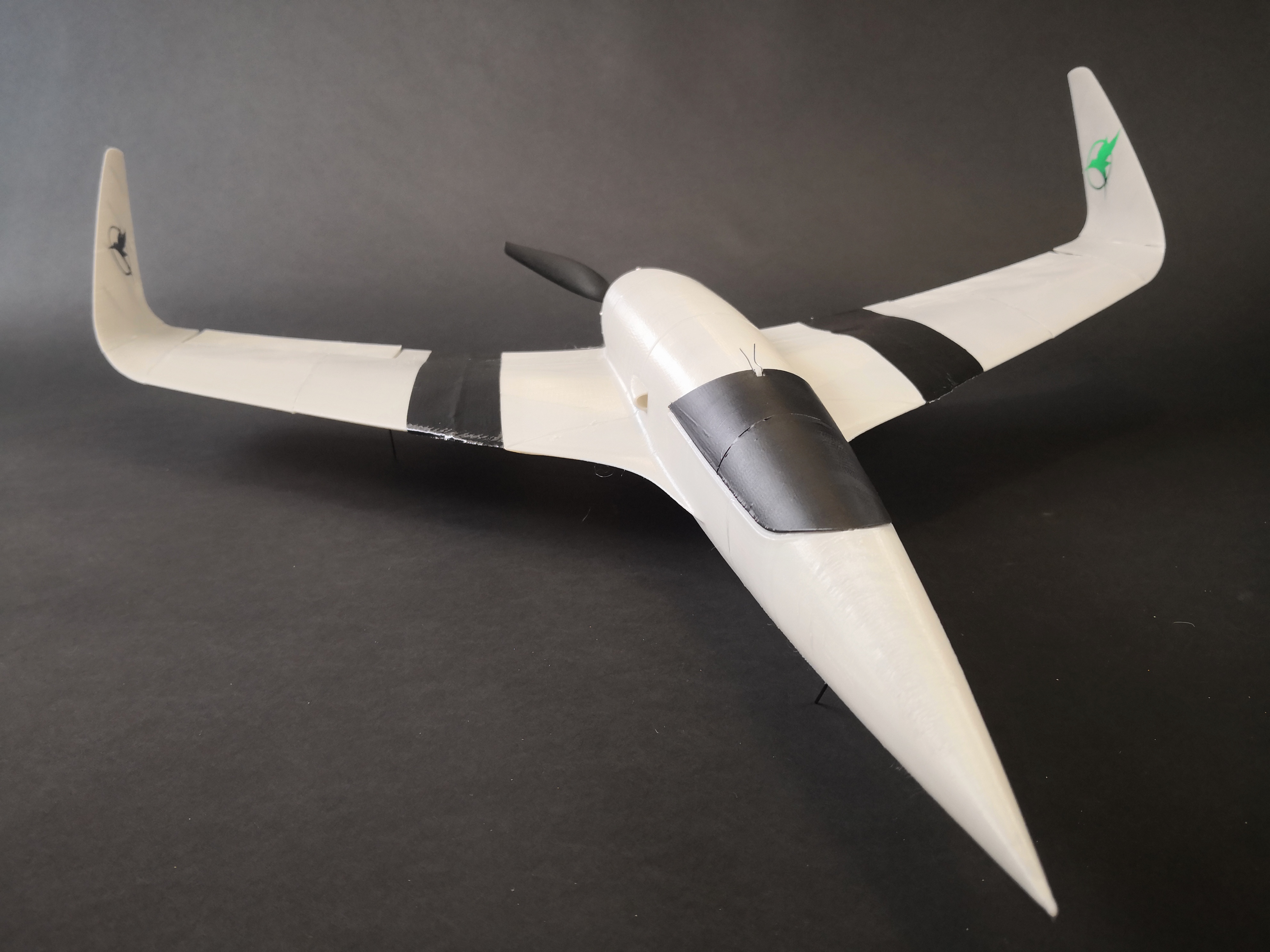 Eclipson EGW-80_ Fast FPV plane