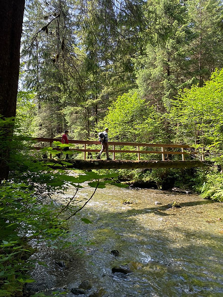 Tongass Treks | Guided Day Hikes | Sitka, Alaska