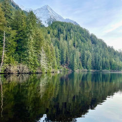 Tongass Treks | Guided Day Hikes | Sitka, Alaska