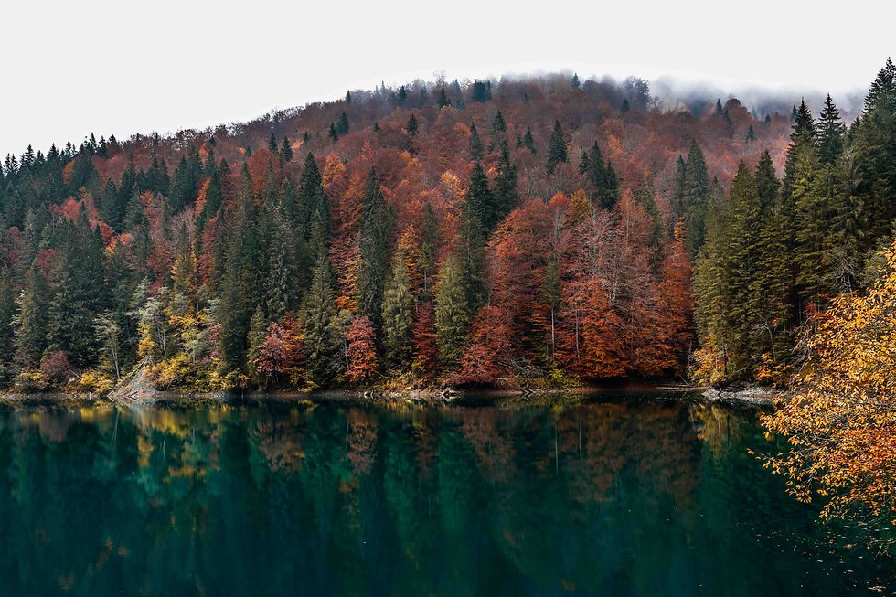 Easy Hike in Romania: Scropoasa Lake and 7 Springs Waterfall, through ...