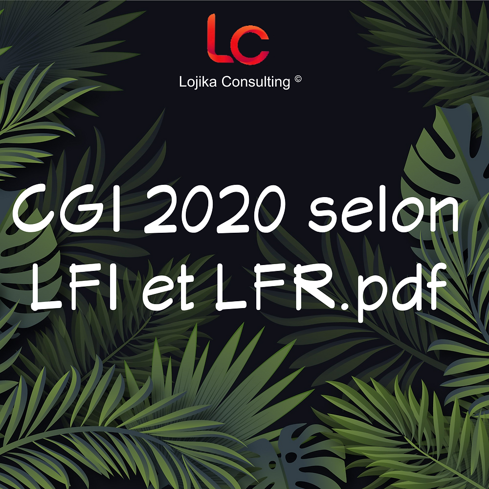 CGI 2020 MADAGASCAR PDF CGI 2020 RECTIFICATIF 2020
