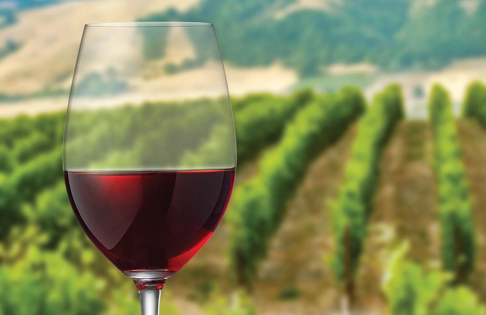 Why Is Pinot Noir So Expensive?