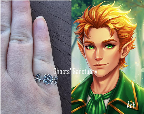 Light Arts Male Irish Leprechaun Spirit Adoption | Ghosts' Sanctuary ...