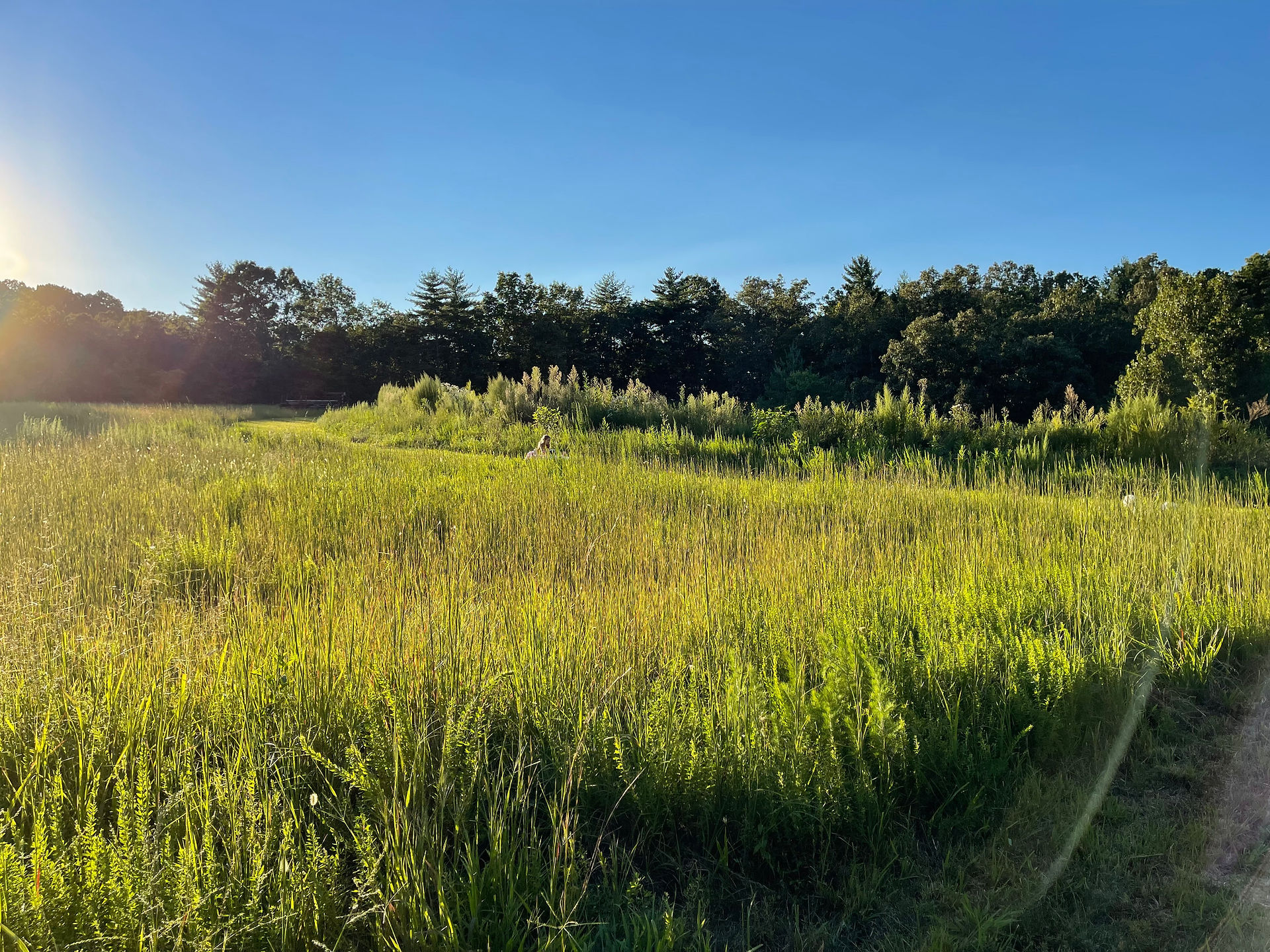 HOME | Grahamhillrvcamping