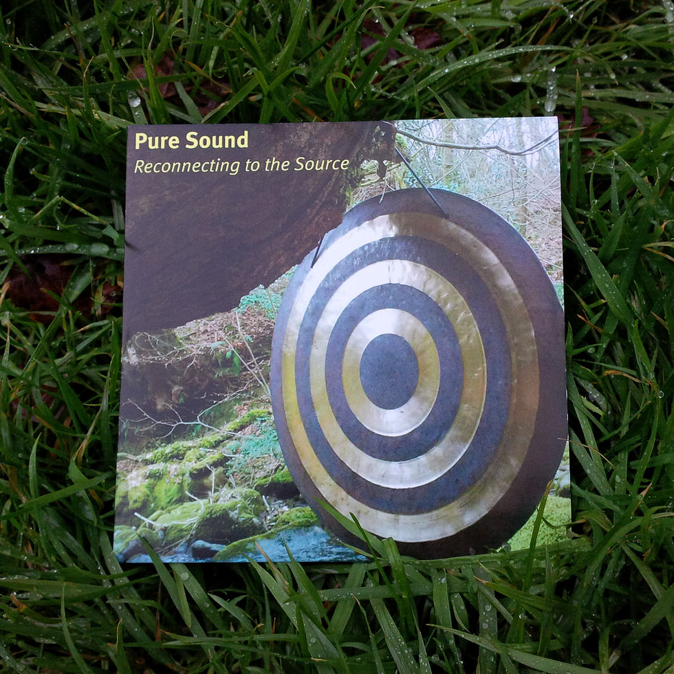 Reconnecting to the Source CD | pure-sound