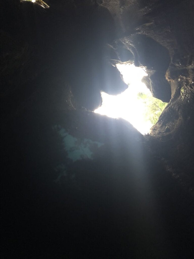 From the dimness, the light shines