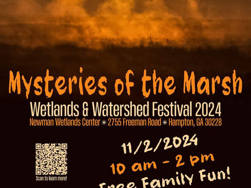Explore the Mysteries of the Marsh: Wetlands & Watershed Festival 2024 ...