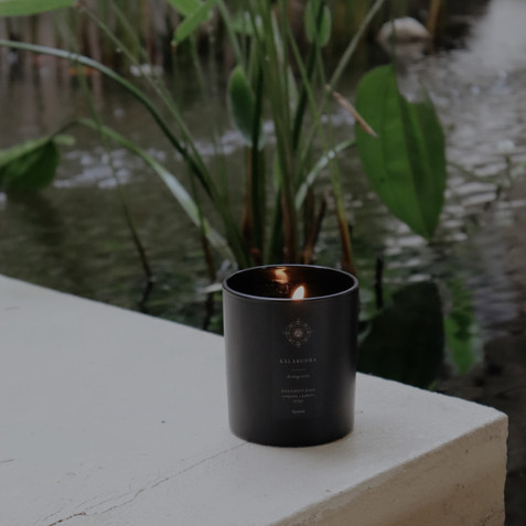 banaspati raja | heritage | bymnē bali